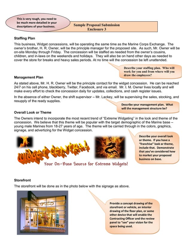 Sample Unsolicited Proposal Submission | PDF