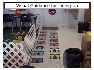 Ideas for Using Visual Supports | PPTX