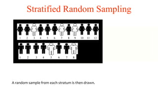 sampling.ppt | Science