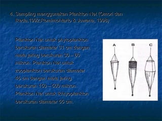Sampling plankton | PPT