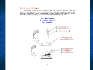 Sampling plankton | PPT
