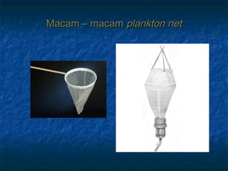 Sampling plankton | PPT
