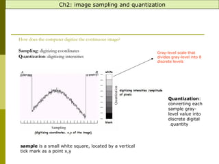 sampling and efeects.pptyeyeyyyyywshdhdh | PPT