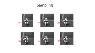 Sampling and Quantization.pptx