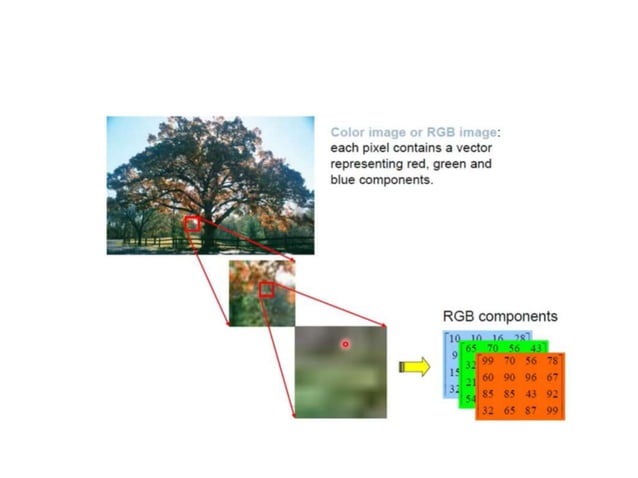 Sampling And Quantization In Digitization Ppt