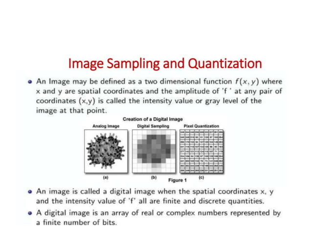 sampling and Quantization in digitization | PPT