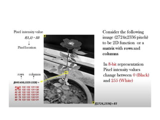sampling and Quantization in digitization | PPT