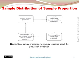 Sampling and sampling distribution tttt | PDF