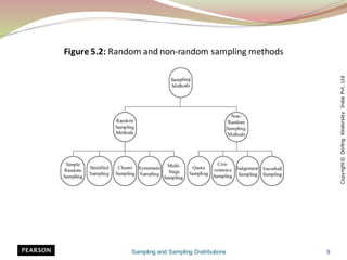 Sampling and sampling distribution tttt | PDF