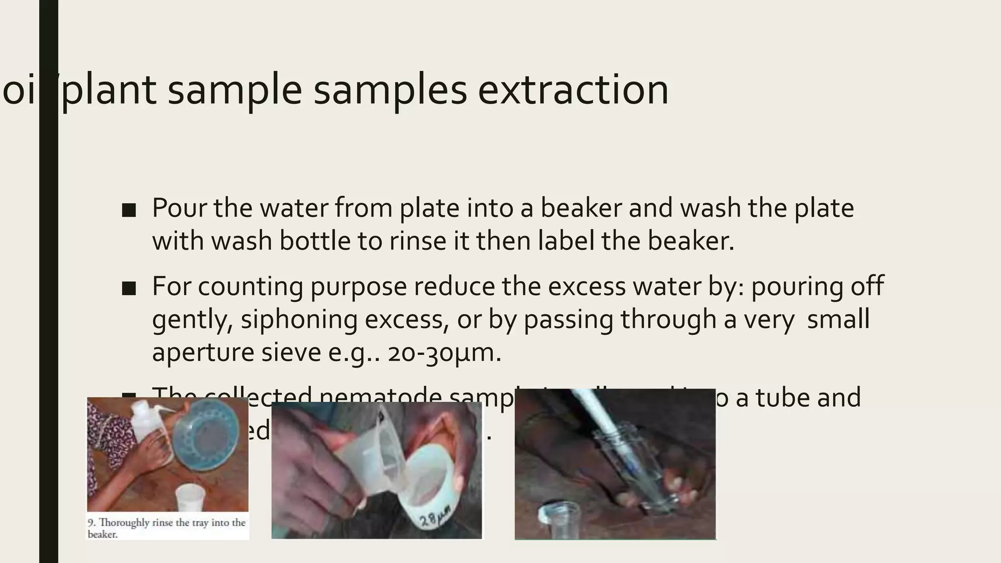 Sampling,extraction and identification of plant parasitic nematodes PPN ...