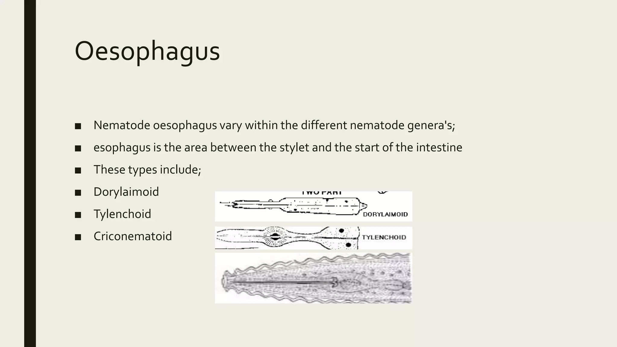Sampling,extraction and identification of plant parasitic nematodes PPN ...