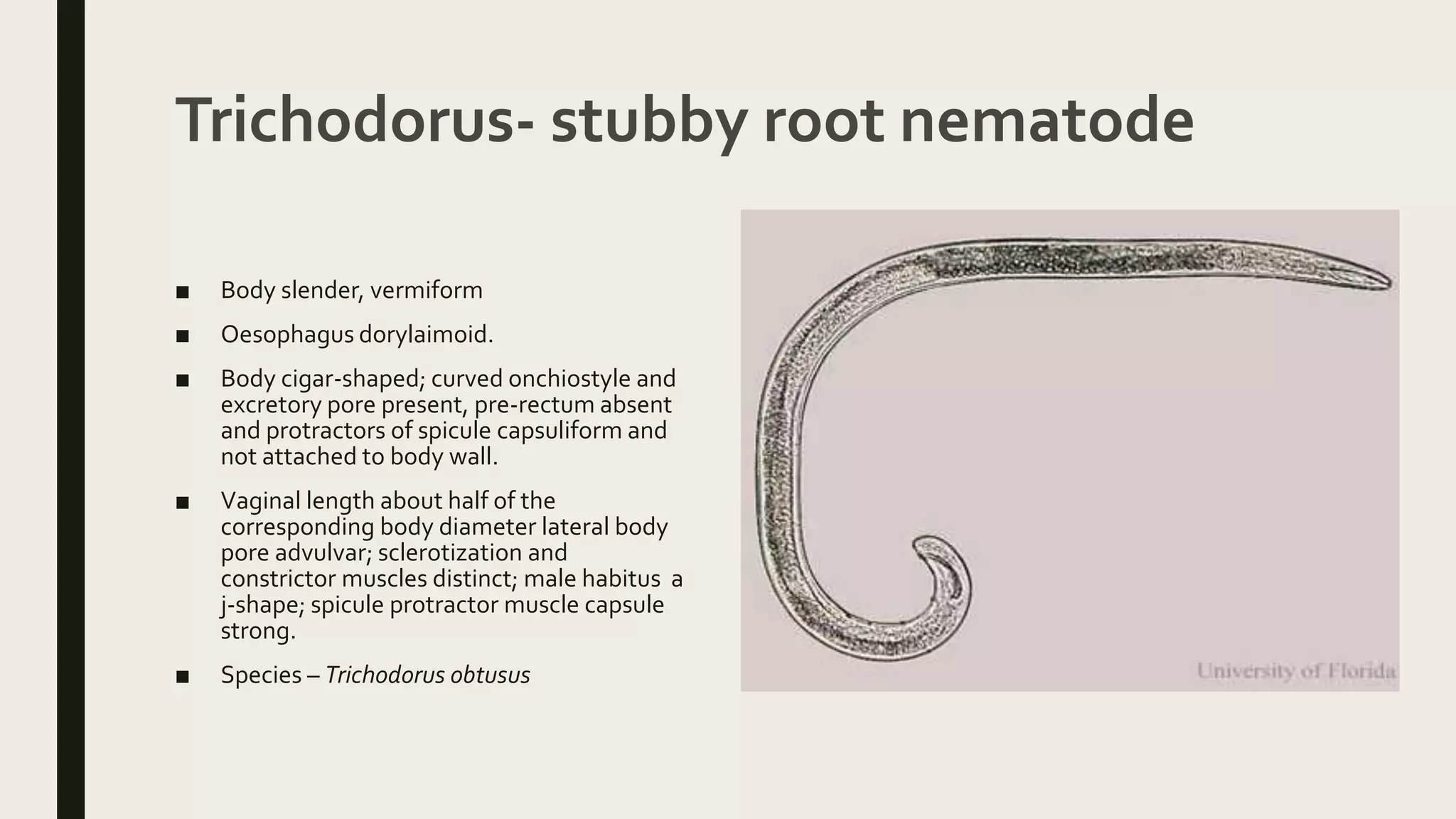 Sampling,extraction and identification of plant parasitic nematodes PPN ...