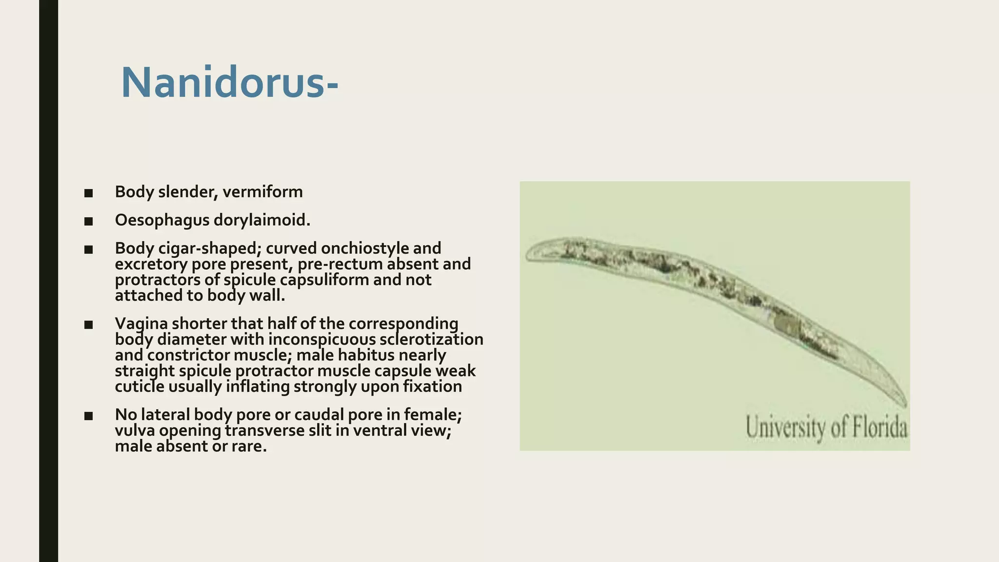 Sampling,extraction and identification of plant parasitic nematodes PPN ...