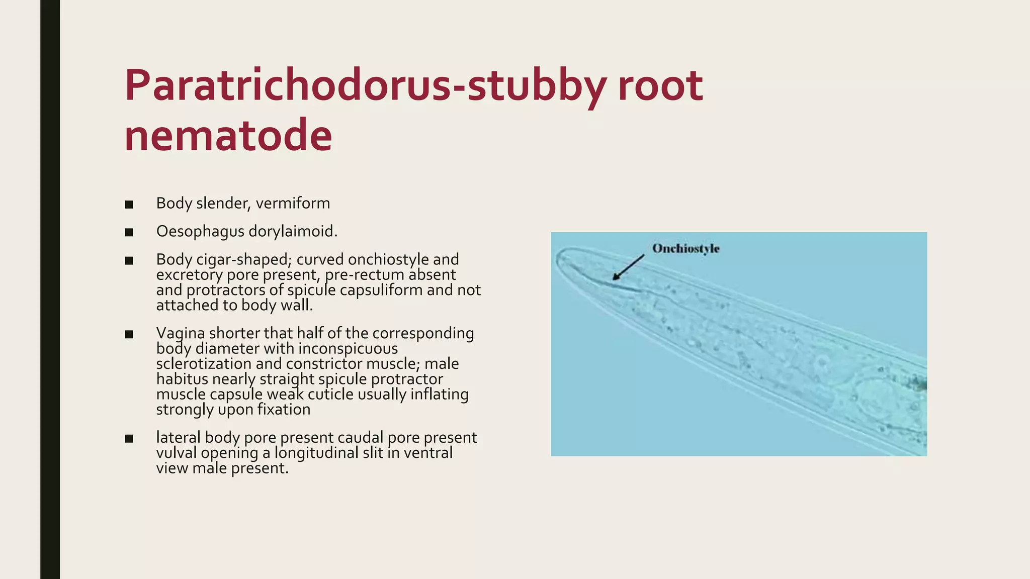 Sampling,extraction and identification of plant parasitic nematodes PPN ...