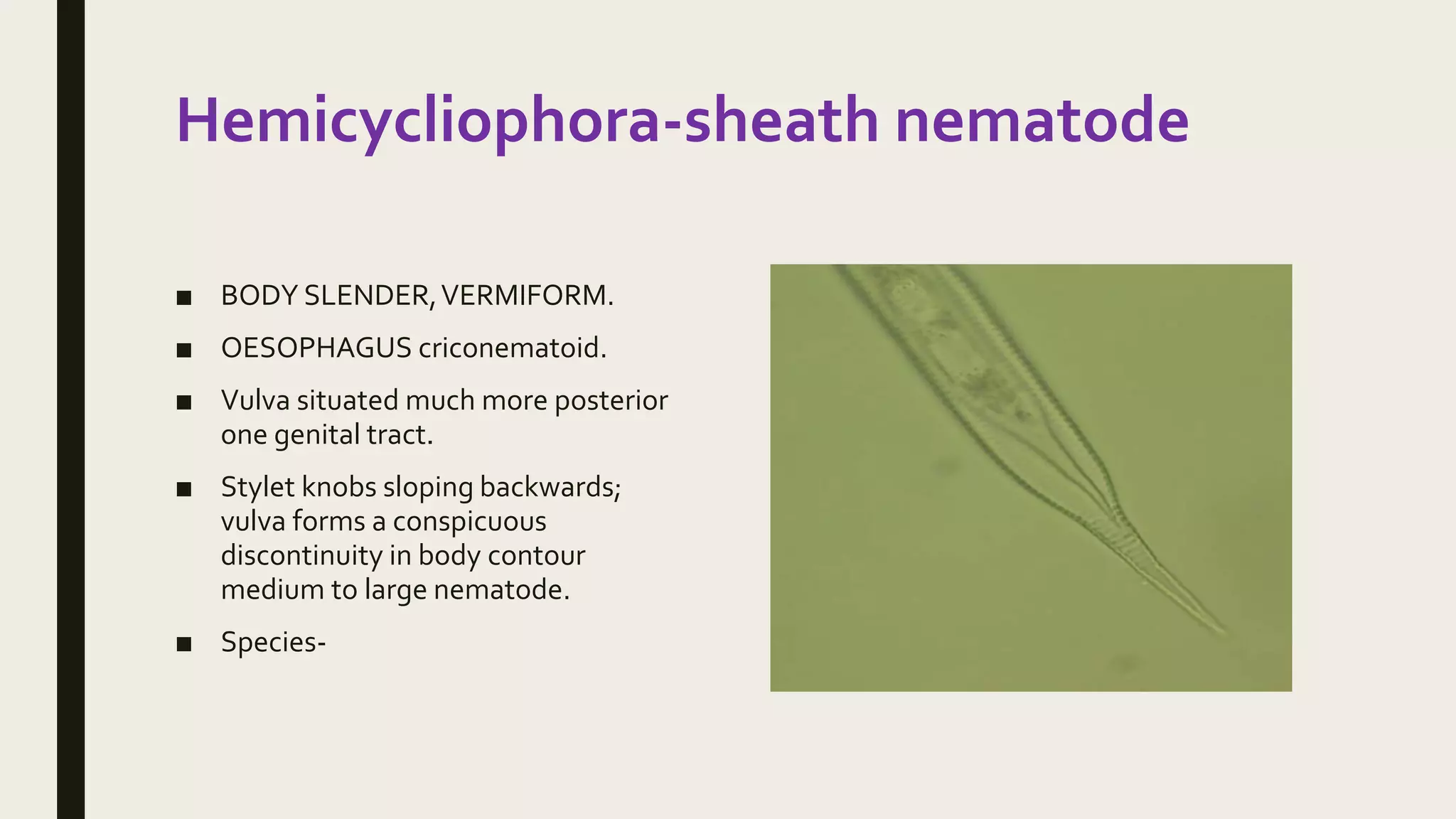 Sampling,extraction and identification of plant parasitic nematodes PPN ...