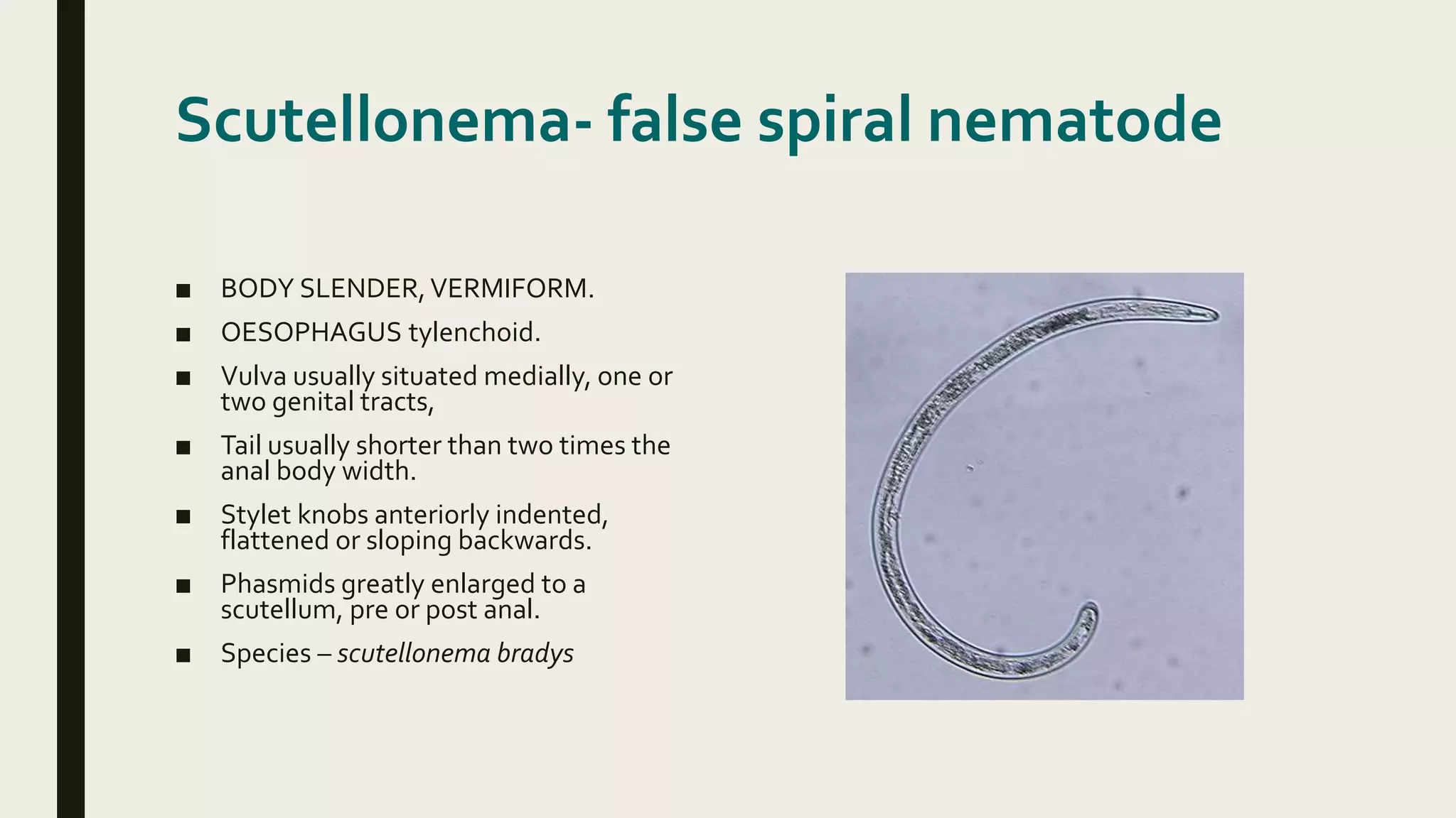 Sampling,extraction and identification of plant parasitic nematodes PPN ...