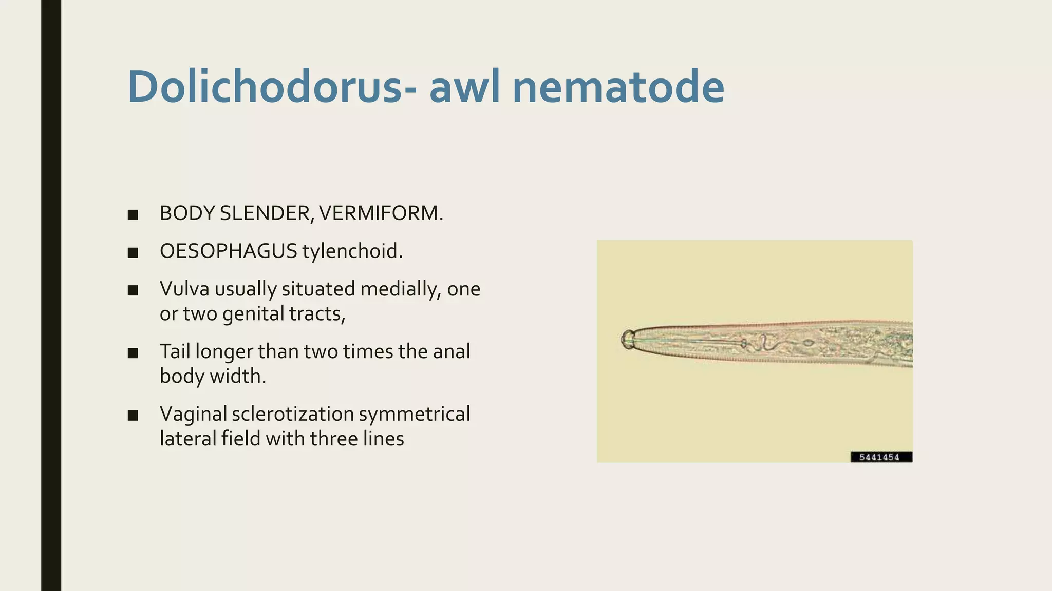 Sampling,extraction and identification of plant parasitic nematodes PPN ...