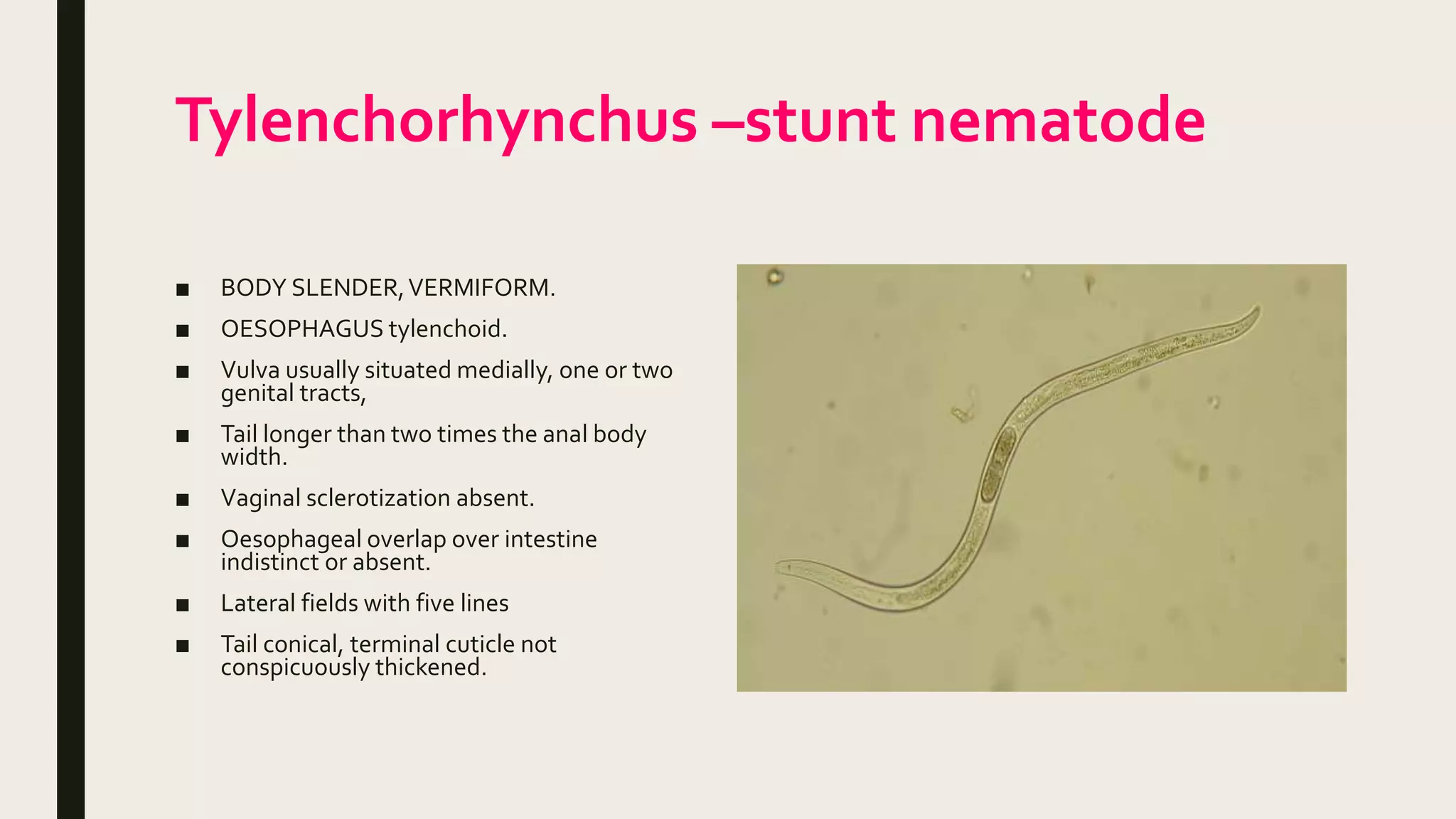 Sampling,extraction and identification of plant parasitic nematodes PPN ...
