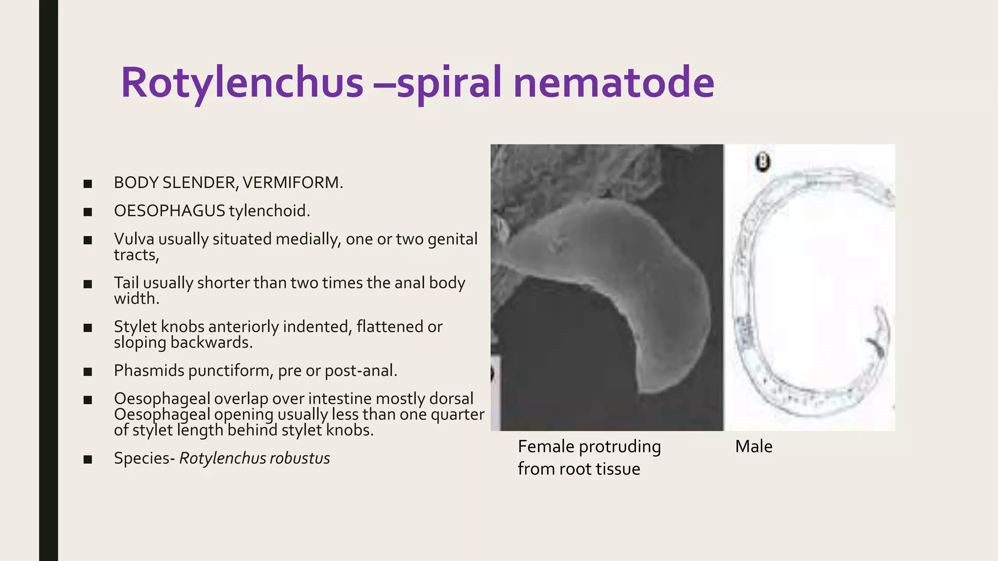 Sampling,extraction and identification of plant parasitic nematodes PPN ...