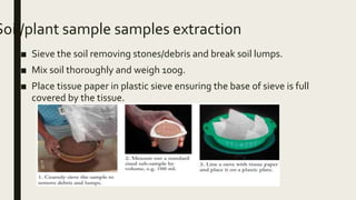 Sampling,extraction and identification of plant parasitic nematodes PPN ...