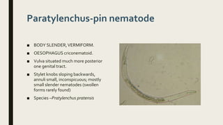 Sampling,extraction and identification of plant parasitic nematodes PPN ...