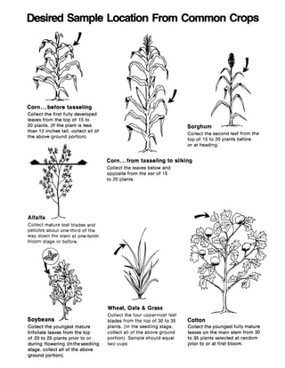 Plant Sampling Guide | PDF