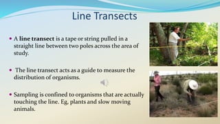 Sampling Methods by Sherrie-Ann Wilson | PPT