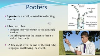 Sampling Methods by Sherrie-Ann Wilson | PPT