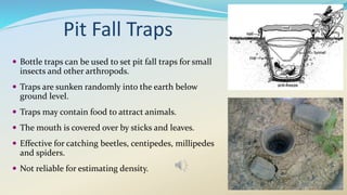 Sampling Methods by Sherrie-Ann Wilson | PPTX
