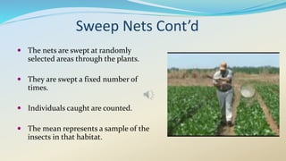Sampling Methods by Sherrie-Ann Wilson | PPT