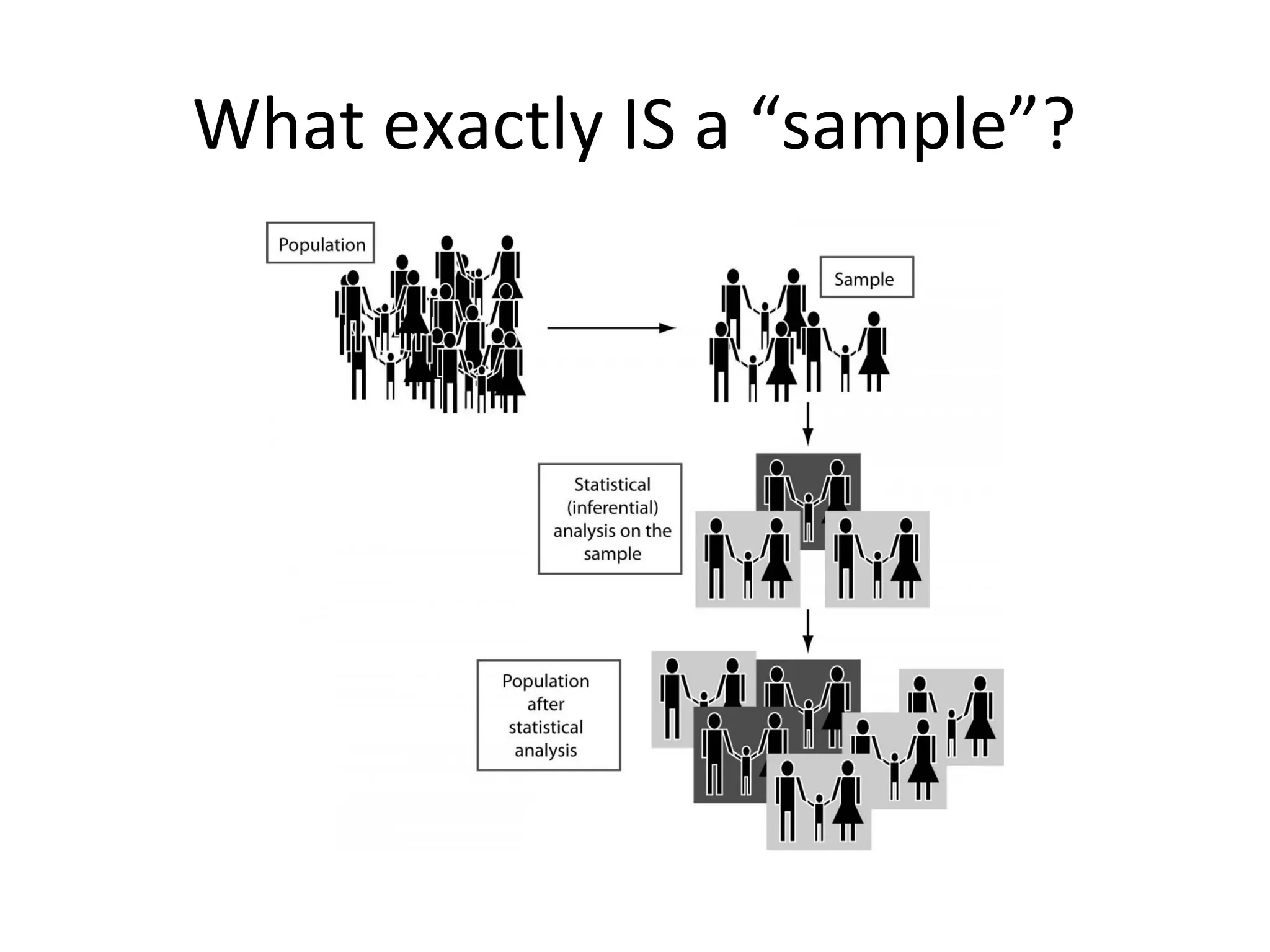 Sampling presentation | PPT