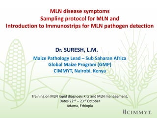 Sampling protocol for mln and introduction to immunostrips for mln ...