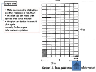 *Sampling technics pend biologi 13 unp | PPT