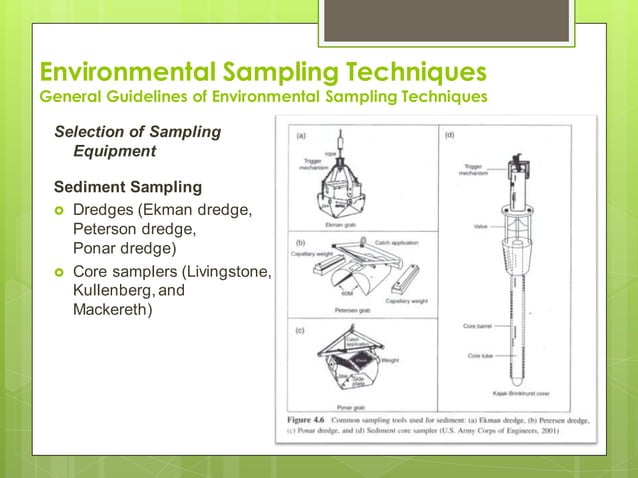 Sampling techniques | PPT