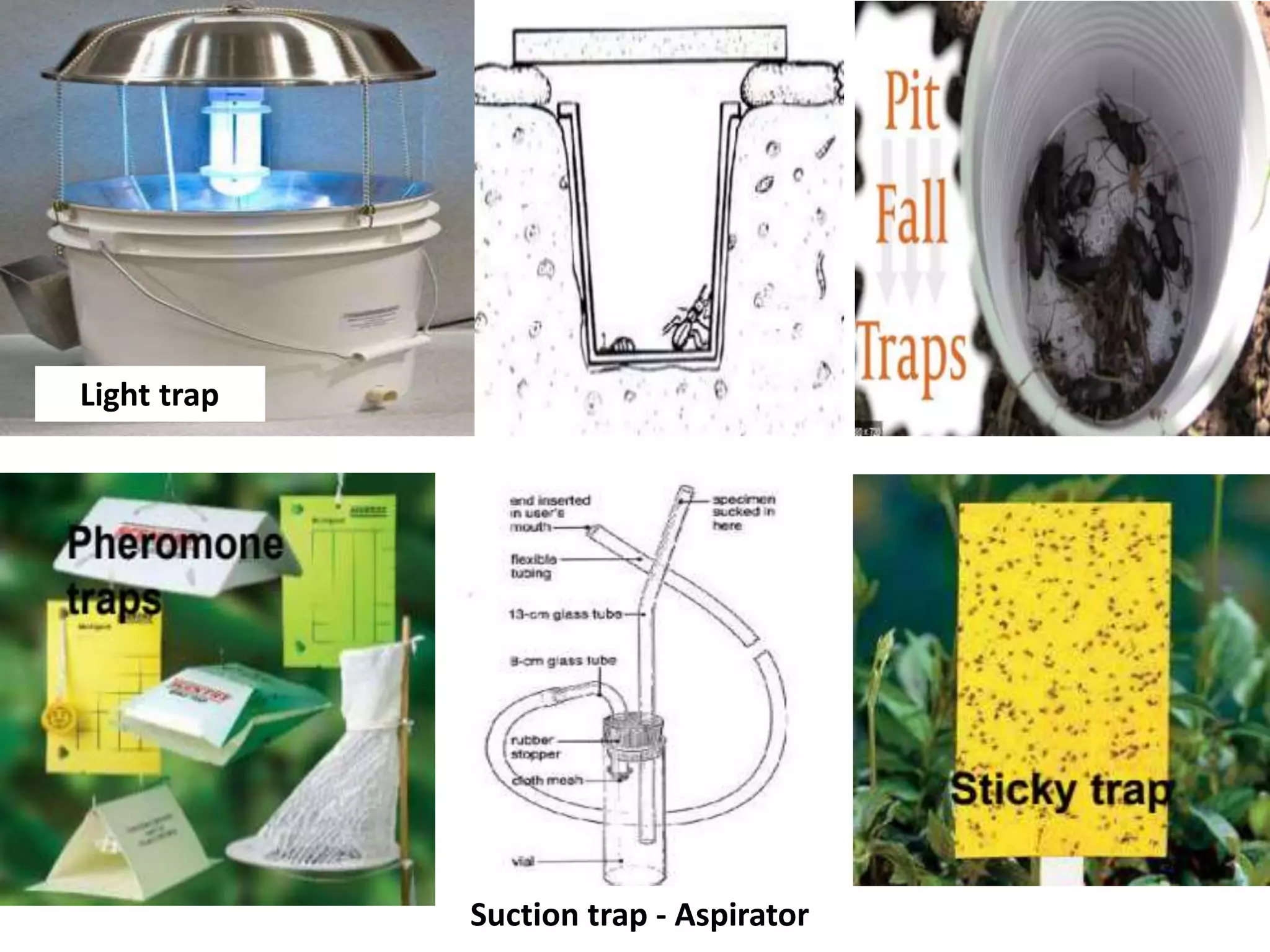 Different Sampling Techniques For Insect Population Estimation Pdf