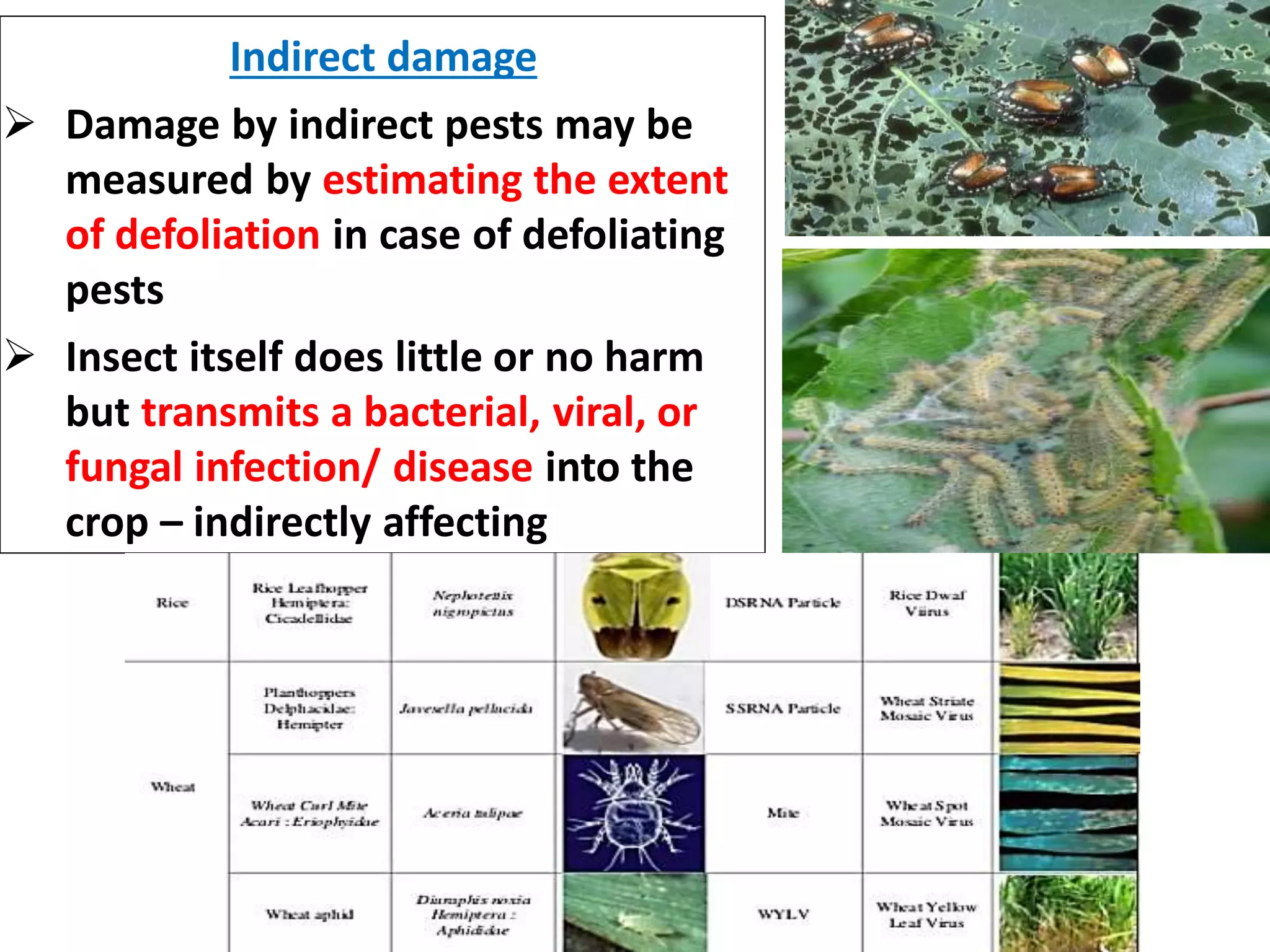 Different sampling techniques for insect population estimation | PDF
