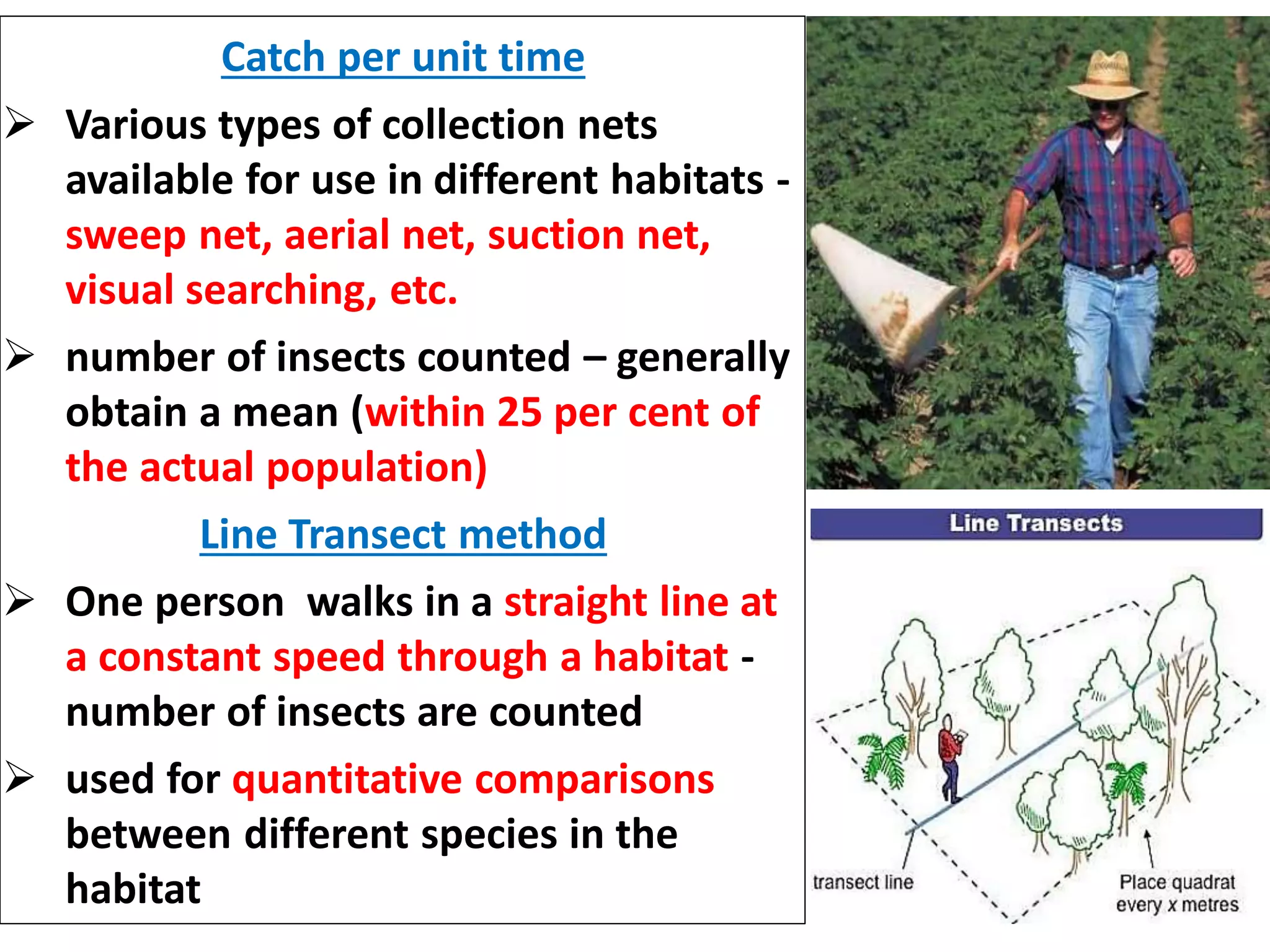 Different sampling techniques for insect population estimation | PDF