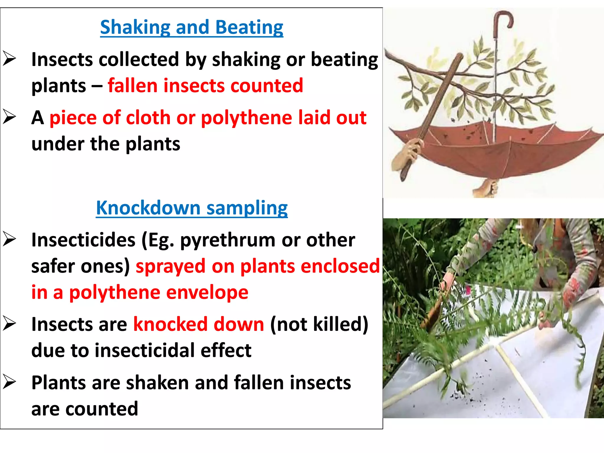 Different Sampling Techniques For Insect Population Estimation Pdf