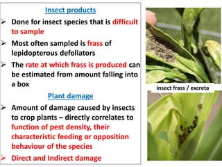 Different sampling techniques for insect population estimation | PDF