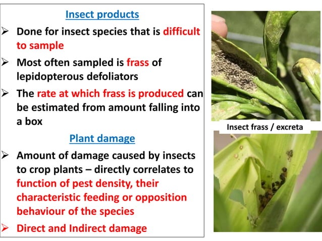 Different Sampling Techniques For Insect Population Estimation Pdf