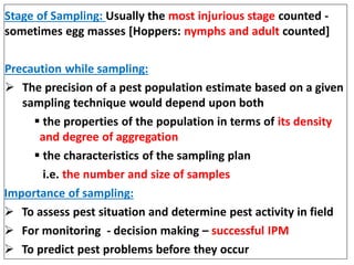 Different sampling techniques for insect population estimation | PDF
