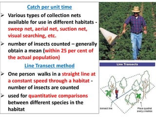 Different sampling techniques for insect population estimation | PDF