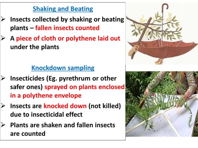 Different Sampling Techniques For Insect Population Estimation Pdf