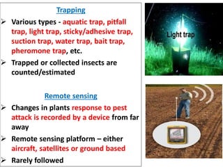 Different sampling techniques for insect population estimation | PDF