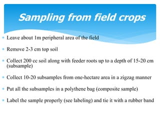 Sampling techniques for nematode assay | PPTX