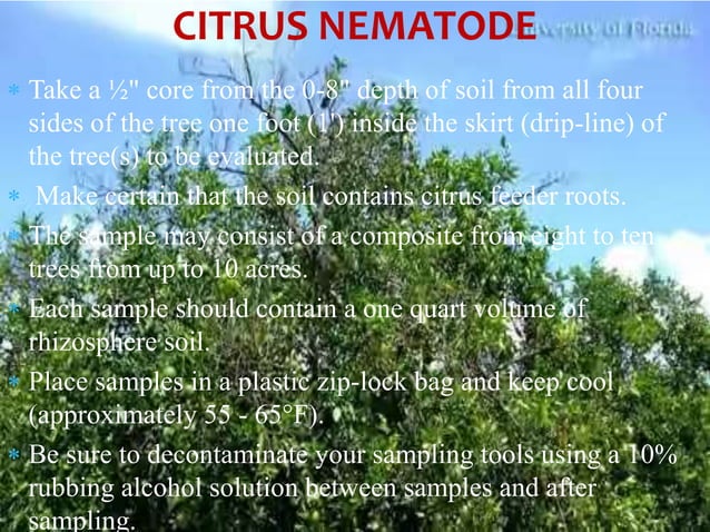 Sampling techniques for nematode assay | PPTX | Gardening | Home & Garden