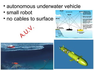 Sampling The Benthos | PPT