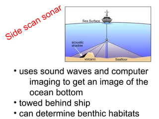 Sampling The Benthos | PPT