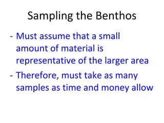 Sampling The Benthos | PPT