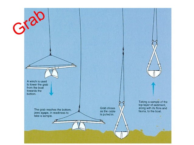 Sampling The Benthos | PPT